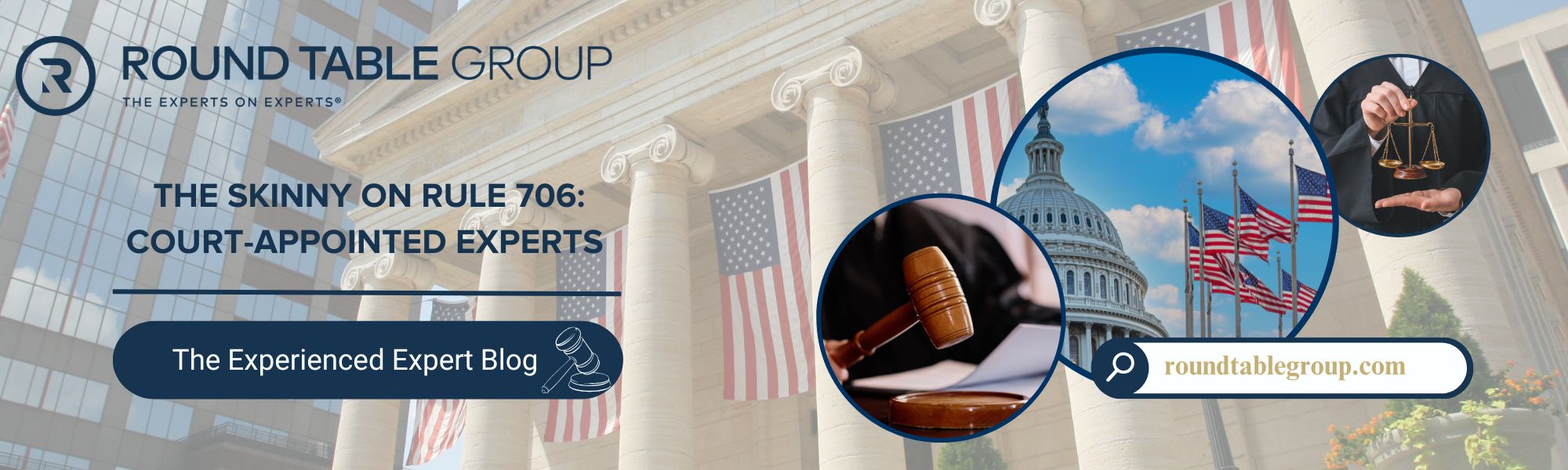 The Skinny on Rule 706: Court-Appointed Experts | Round Table Group